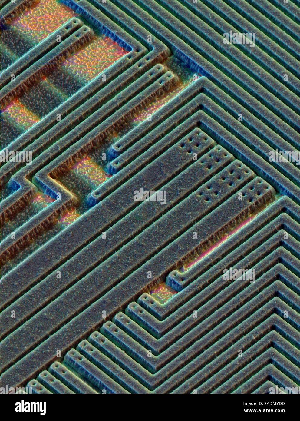 Integrated chip. Coloured Scanning Electron Micro- graph (SEM) of the ...