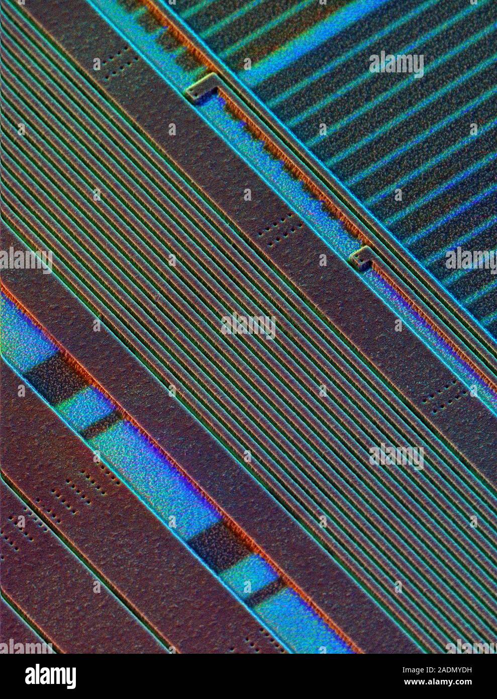 Integrated chip. Coloured Scanning Electron Micro- graph (SEM) of the ...