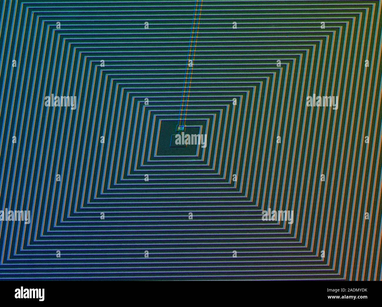 SQUID circuit loops. Coloured Scanning Electron Micrograph (SEM) of the ...