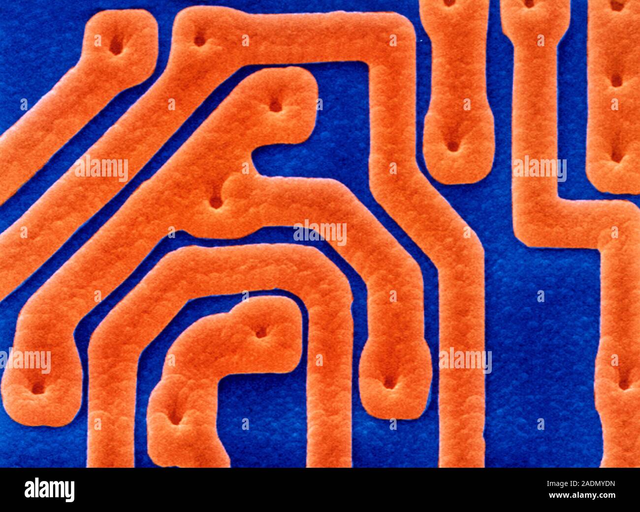 Integrated Circuits Coloured Scanning Electron Micrograph Sem Of