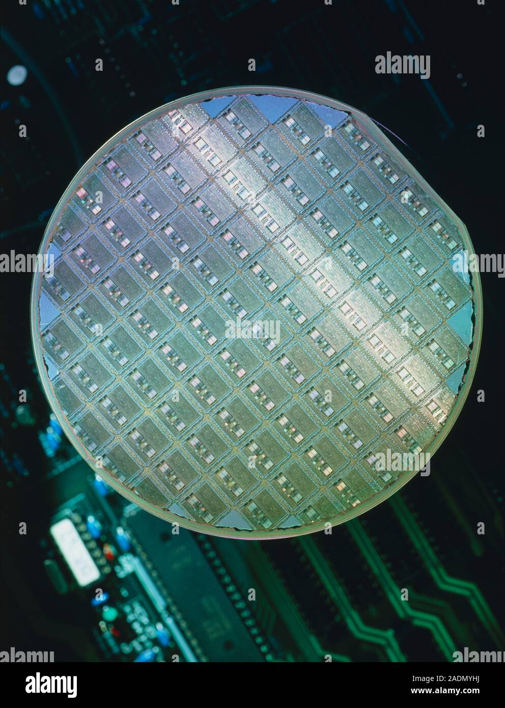 Semiconductor wafer. View of a circular semi- conductor wafer. The ...