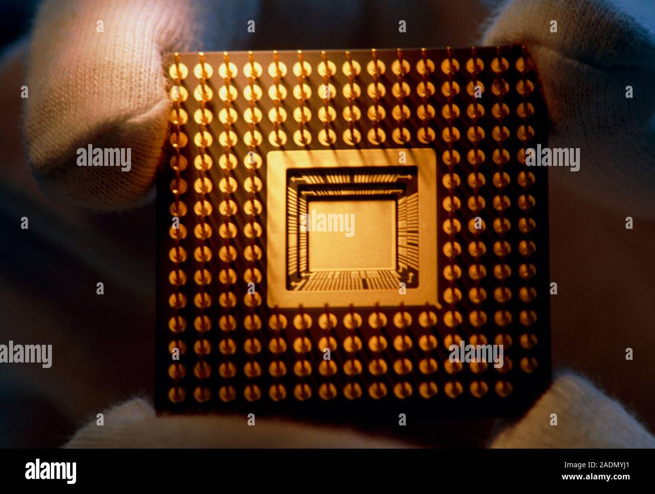 Chip carrier. Gloved fingers holding a ceramic carrier for housing a ...