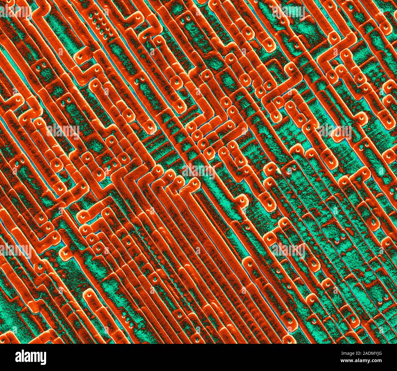 Circuitry of microchip. Coloured scanning electron micrograph (SEM) of ...