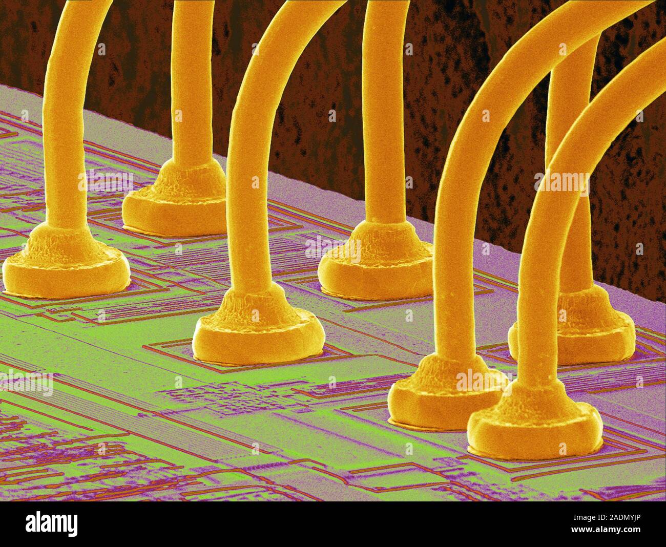 Computer Chip Coloured Scanning Electron Micrograph Sem Of