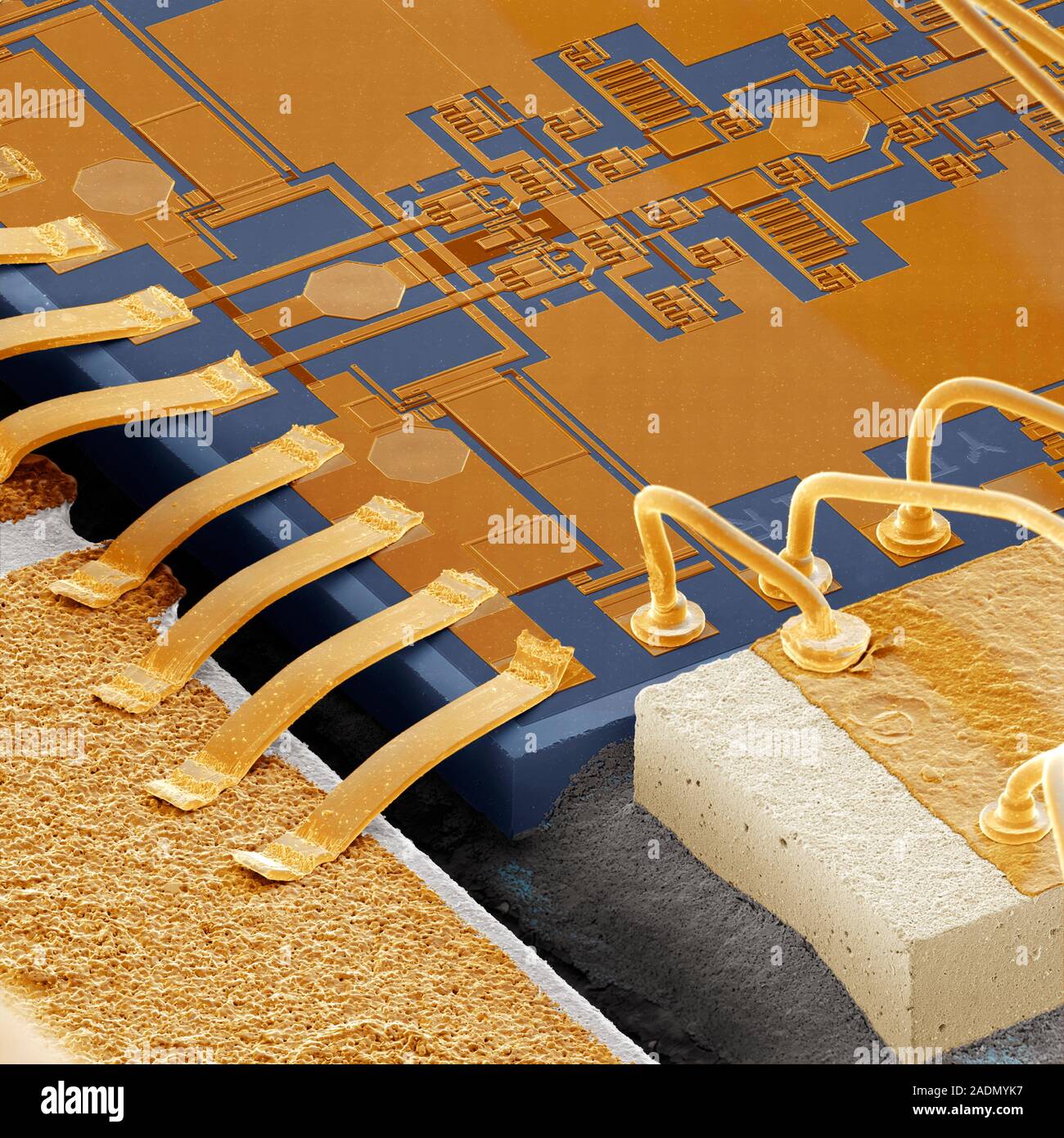 Silicon chip. Coloured scanning electron micrograph (SEM) of connecting ...