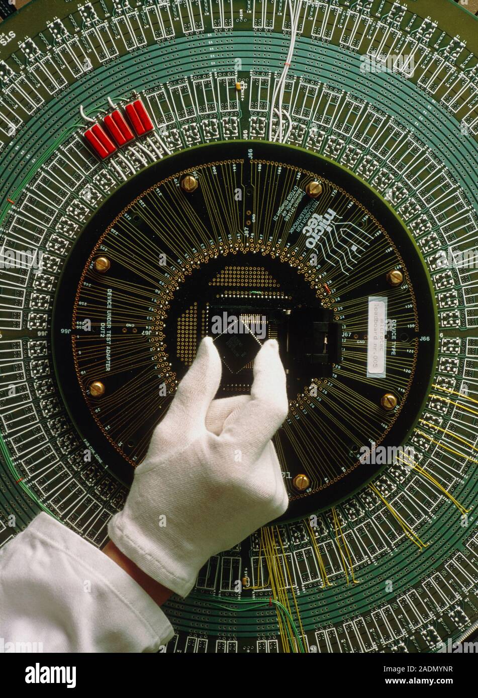 Microchip testing. Gloved hand holding a microchip prior to testing ...