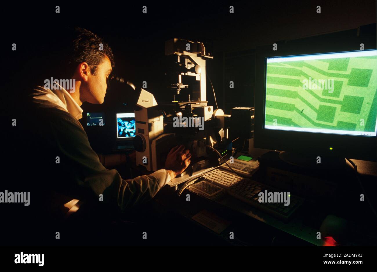 Semiconductor research. Researcher examining the surface of a ...
