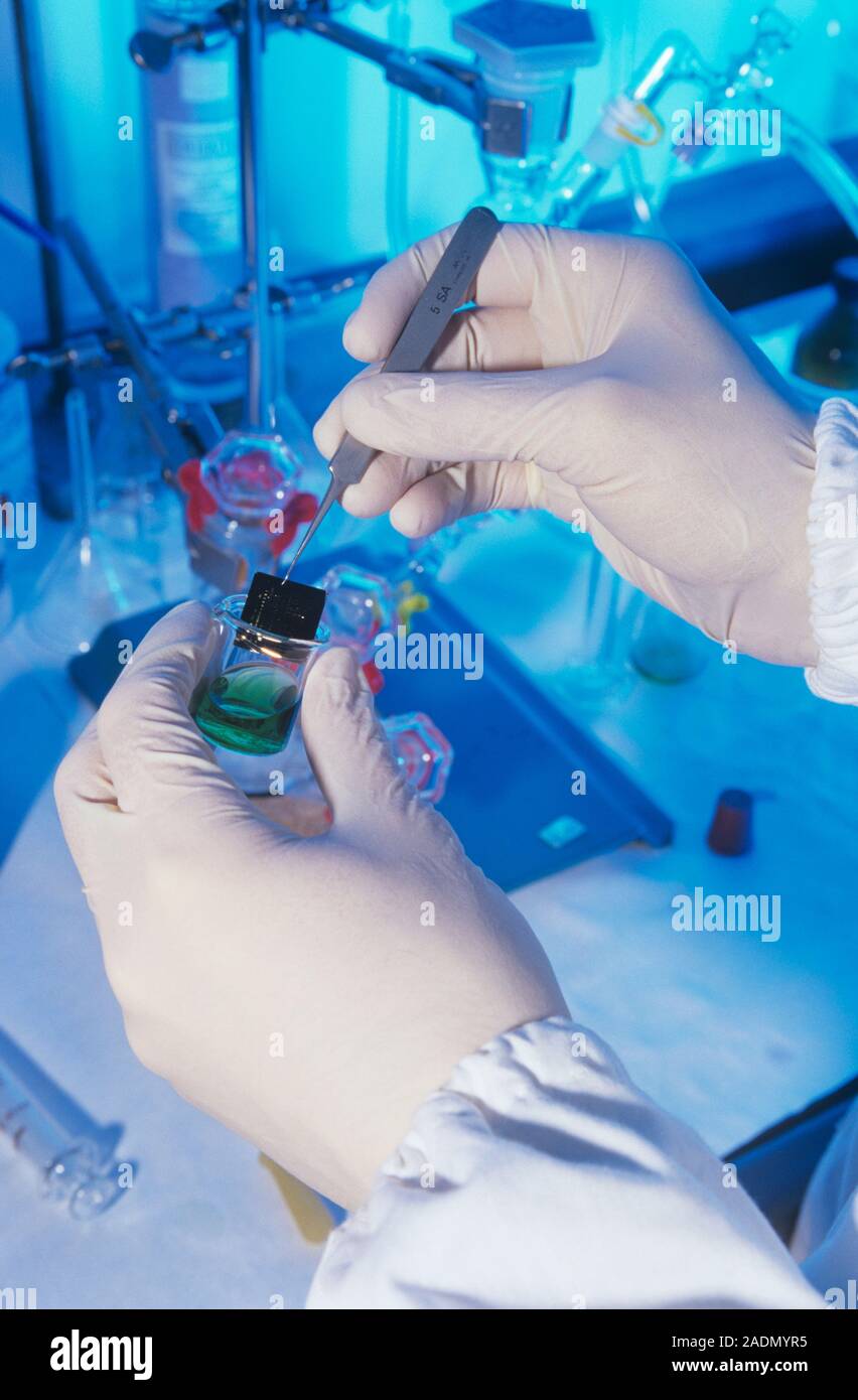 Semiconductor research. Researcher using forceps to place a ...