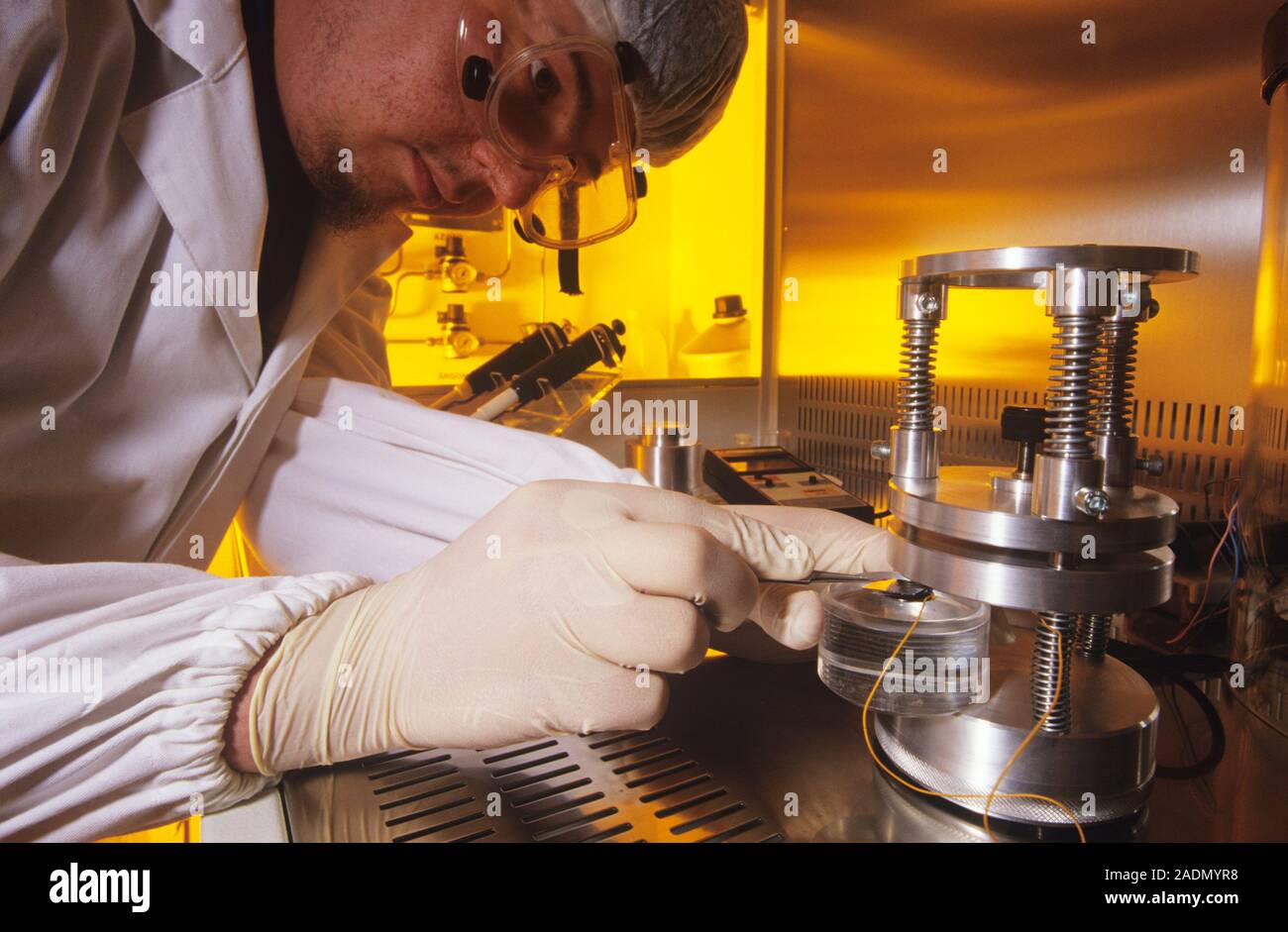 Semiconductor research. Researcher using forceps to prepare a ...