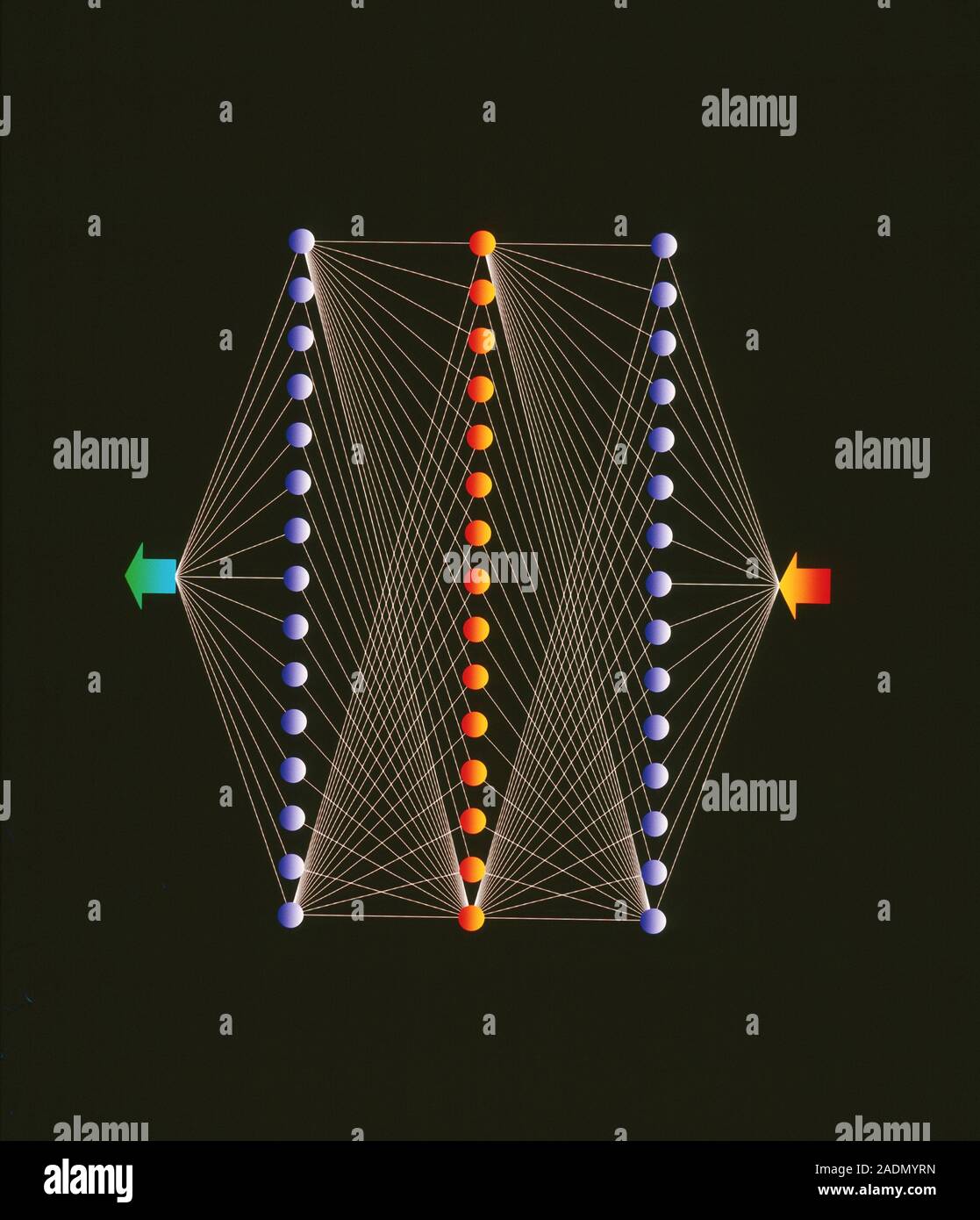 Neural network. Diagrammatic illustration of the pathway of information ...
