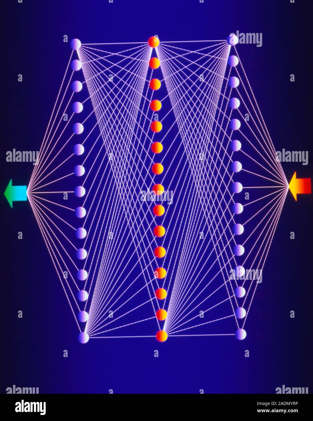 Neural network. Diagrammatic illustration of the pathway of information ...