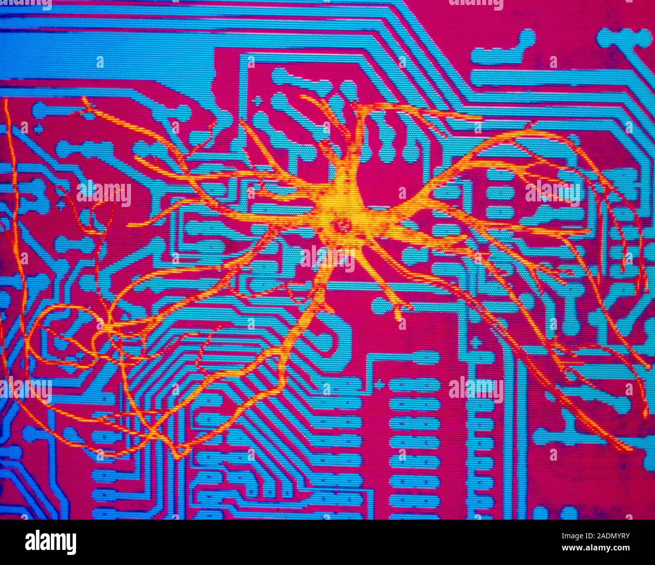 Neural network. Artwork of a multipolar nerve cell (neurone) against an ...