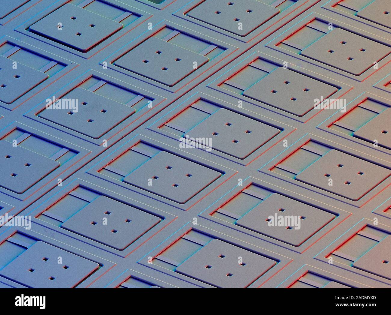 Flap. Scanning electron micrograph of micromechanical flaps which can ...