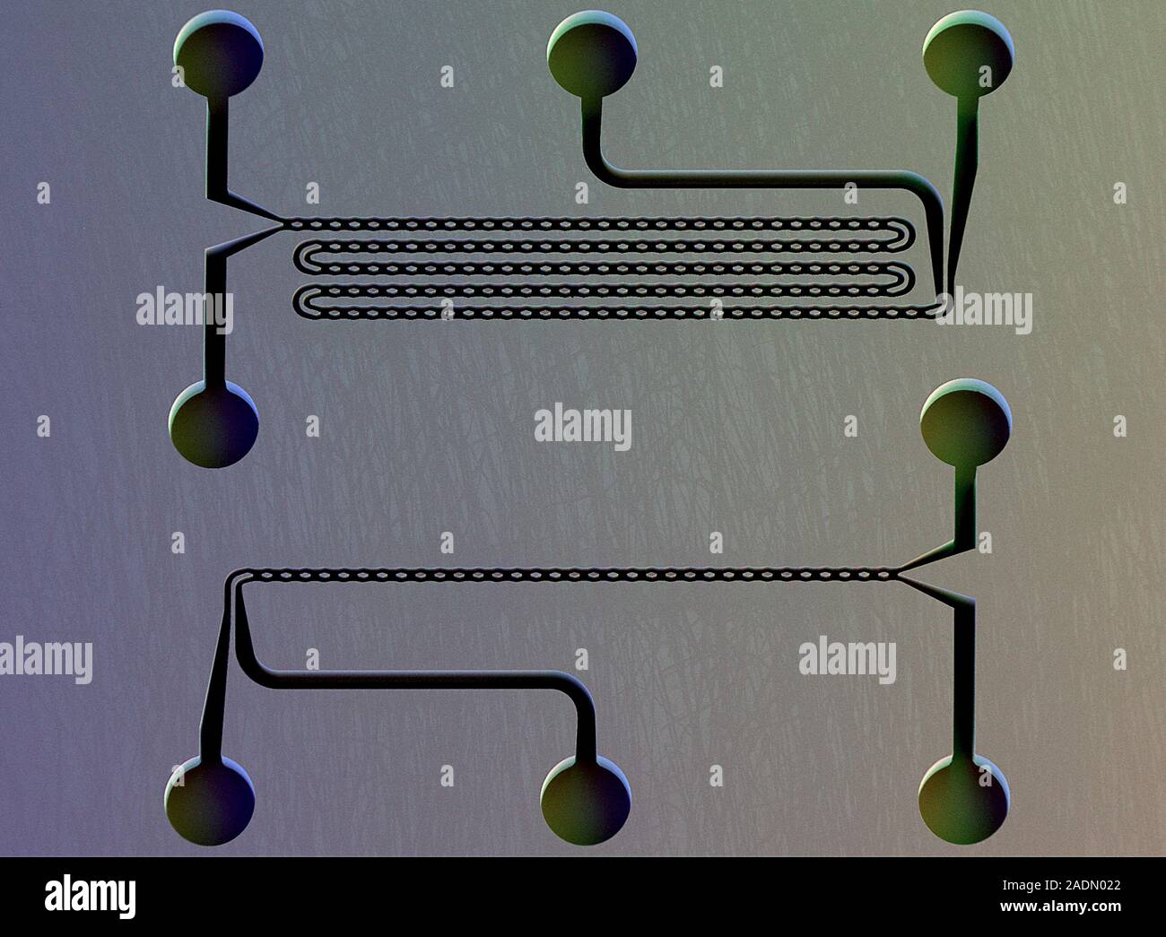 Microfluidic Chip Coloured Scanning Electron Micrograph Sem Of A
