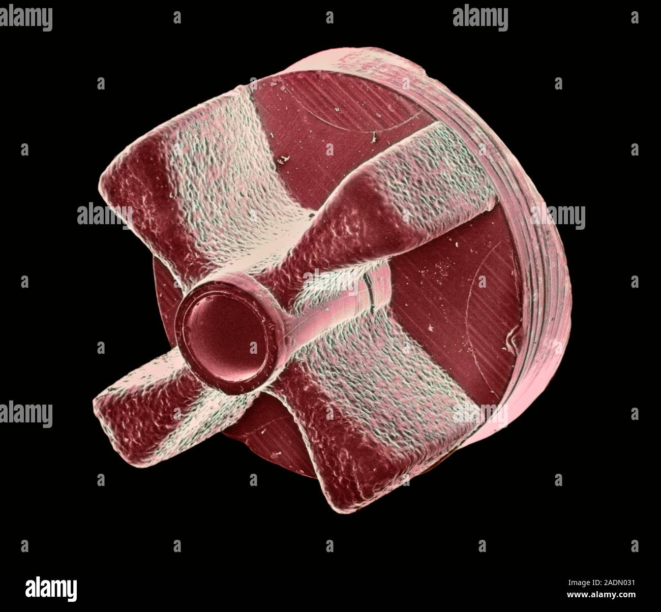 Cam wheel. Coloured scanning electron micrograph (SEM) of a microscopic ...