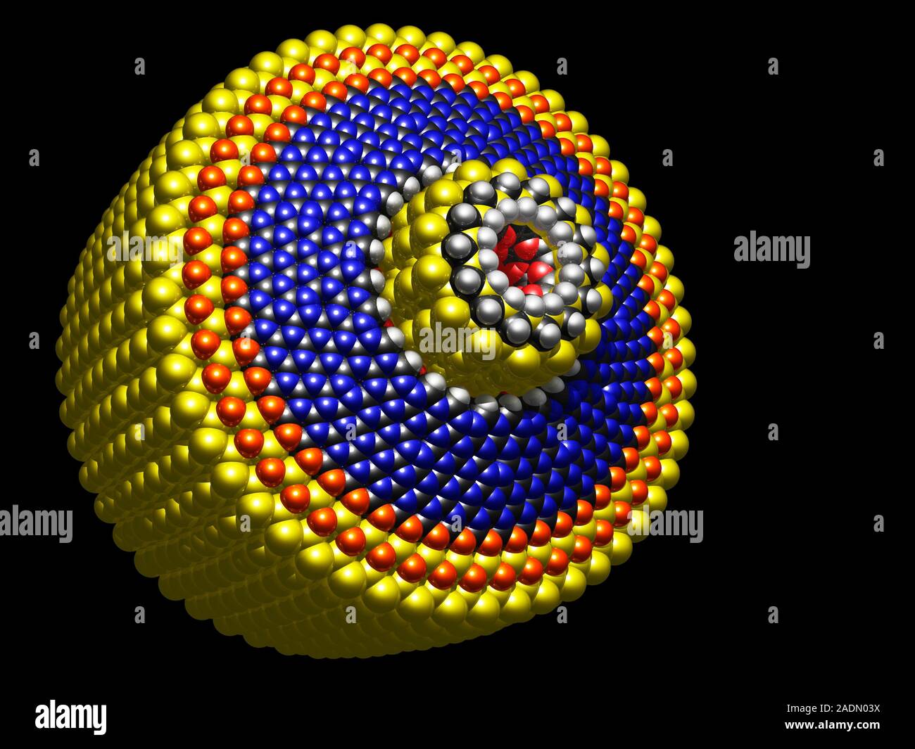 Molecular differential gear, computer model. This gear design is an ...
