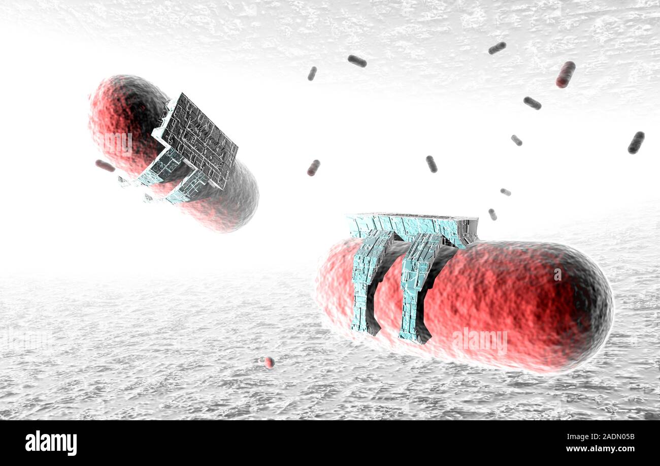 Medical nanorobots. Computer artwork of nanorobots killing bacteria ...
