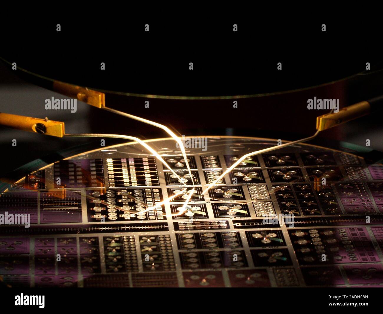 MEMS microscopy. Scanning electron micrograph (SEM) electrodes being ...