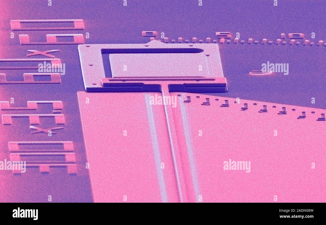 Microelectromechanical device, coloured scanning electron micrograph ...