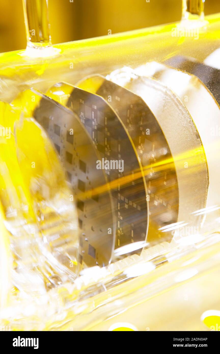 MEMS production. Carrying case containing silicon wafers that are being ...