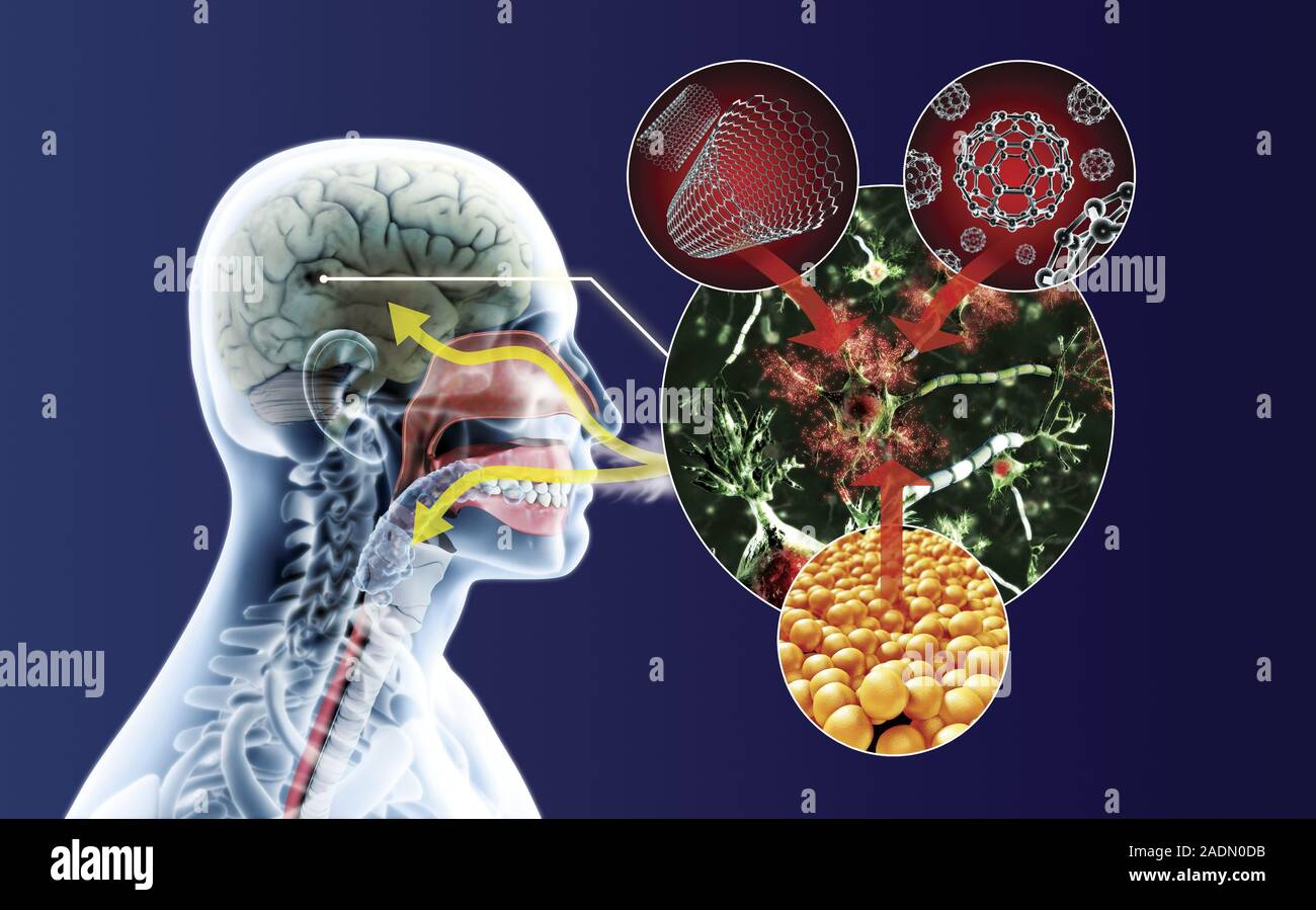 Nanopollution. Artwork showing nanoparticles (in small circles at right ...