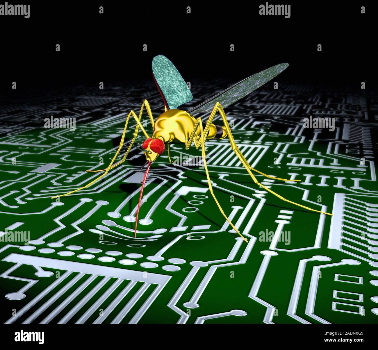 Computer virus. Conceptual computer artwork of a mosquito transmitting ...