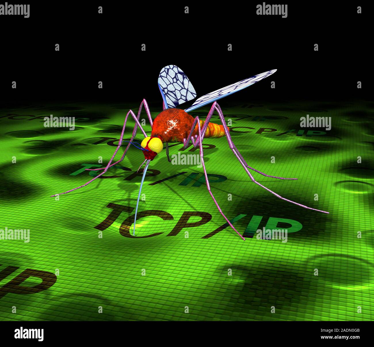Computer virus. Conceptual computer artwork of a mosquito transmitting ...
