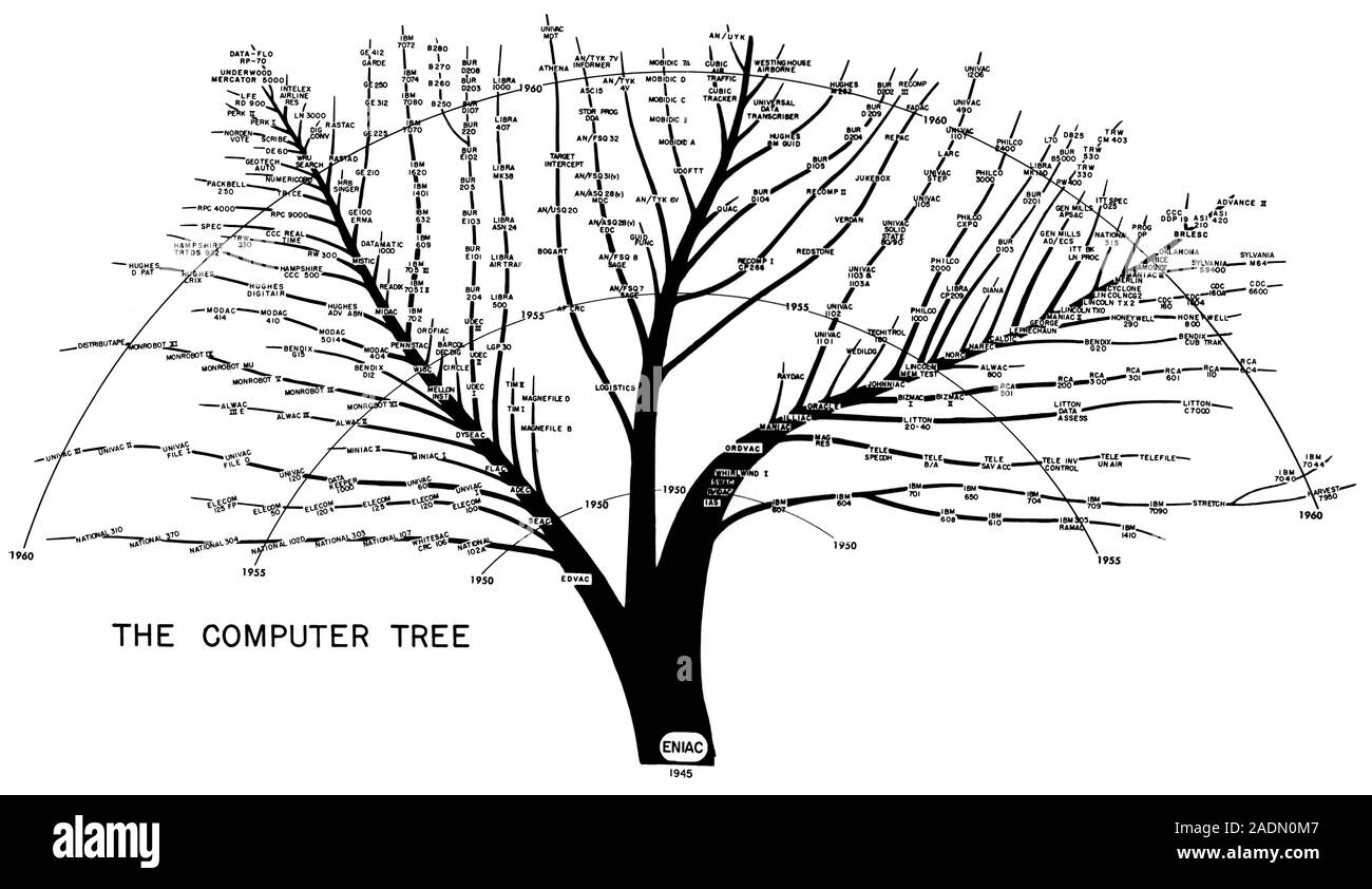 Evolution of electronic digital computers. The 'computer tree' shows ...