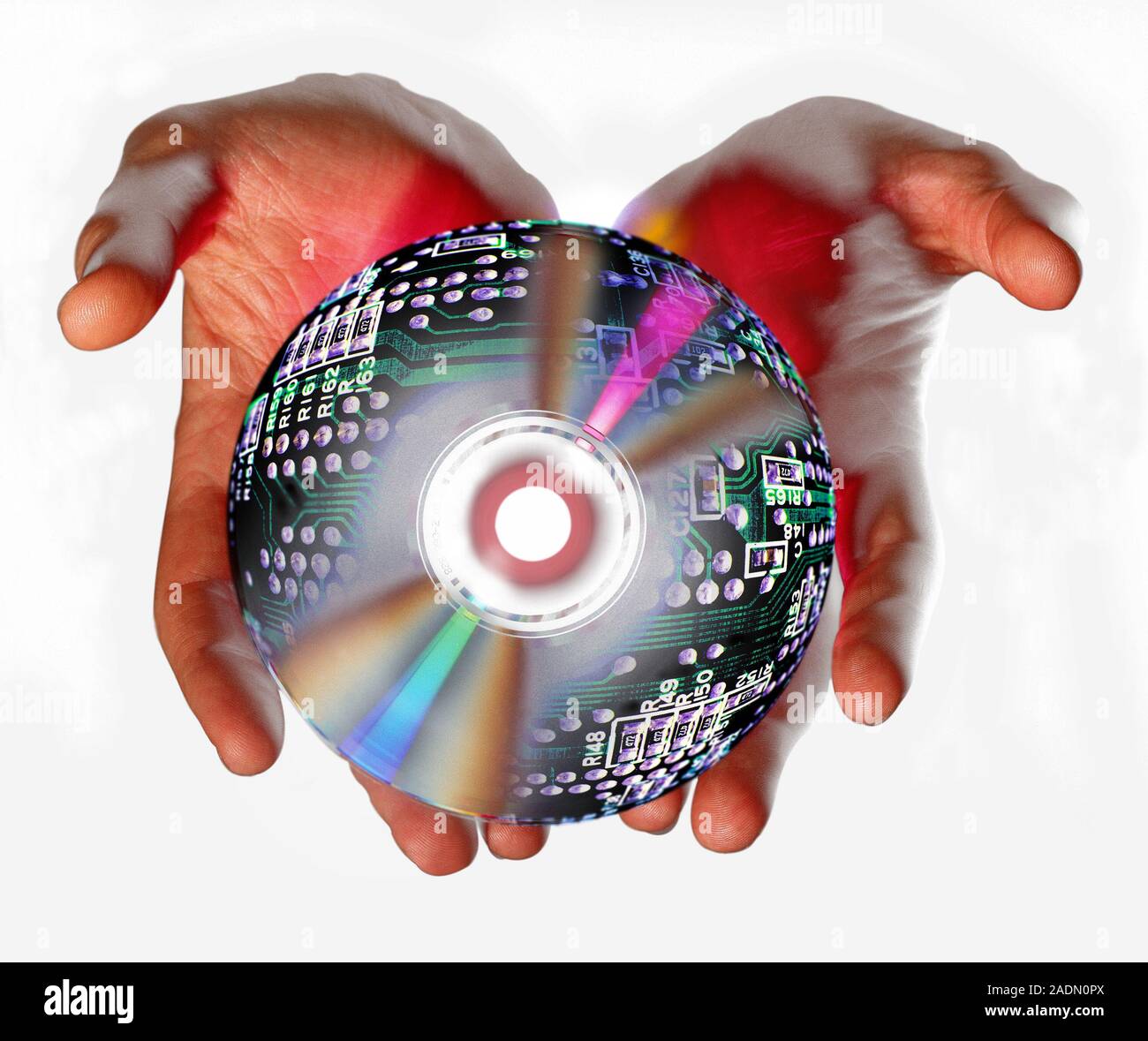 CD-ROM. Conceptual image of hands holding a CD-ROM (compact disc-read ...