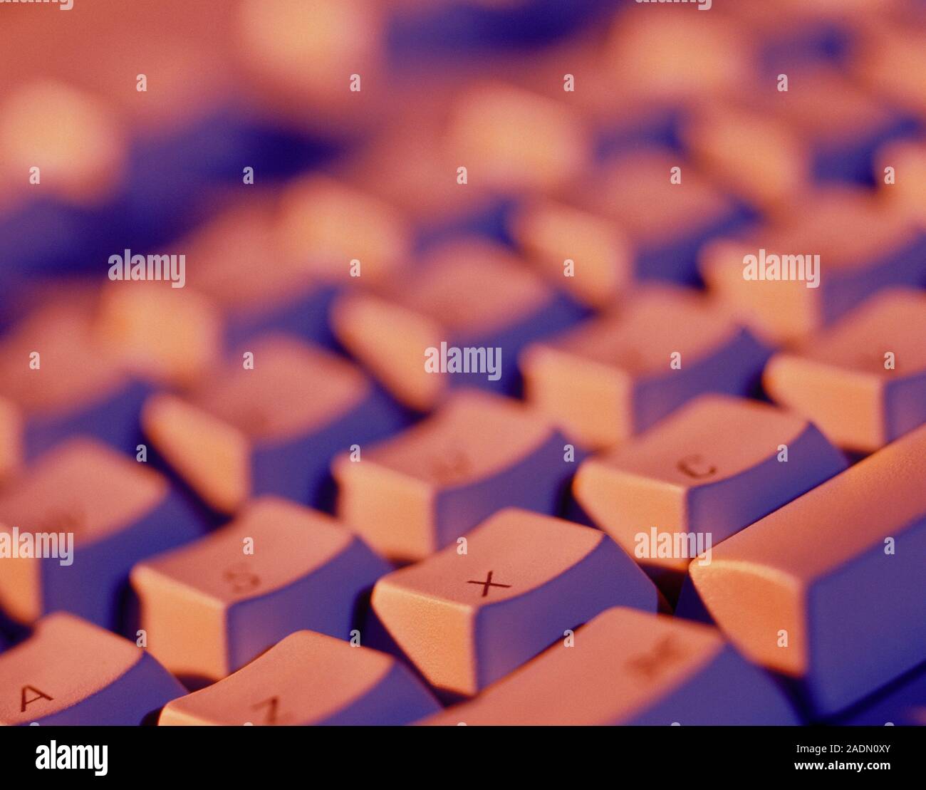 Keyboard. Close-up of various keys on the keyboard of a computer Stock ...
