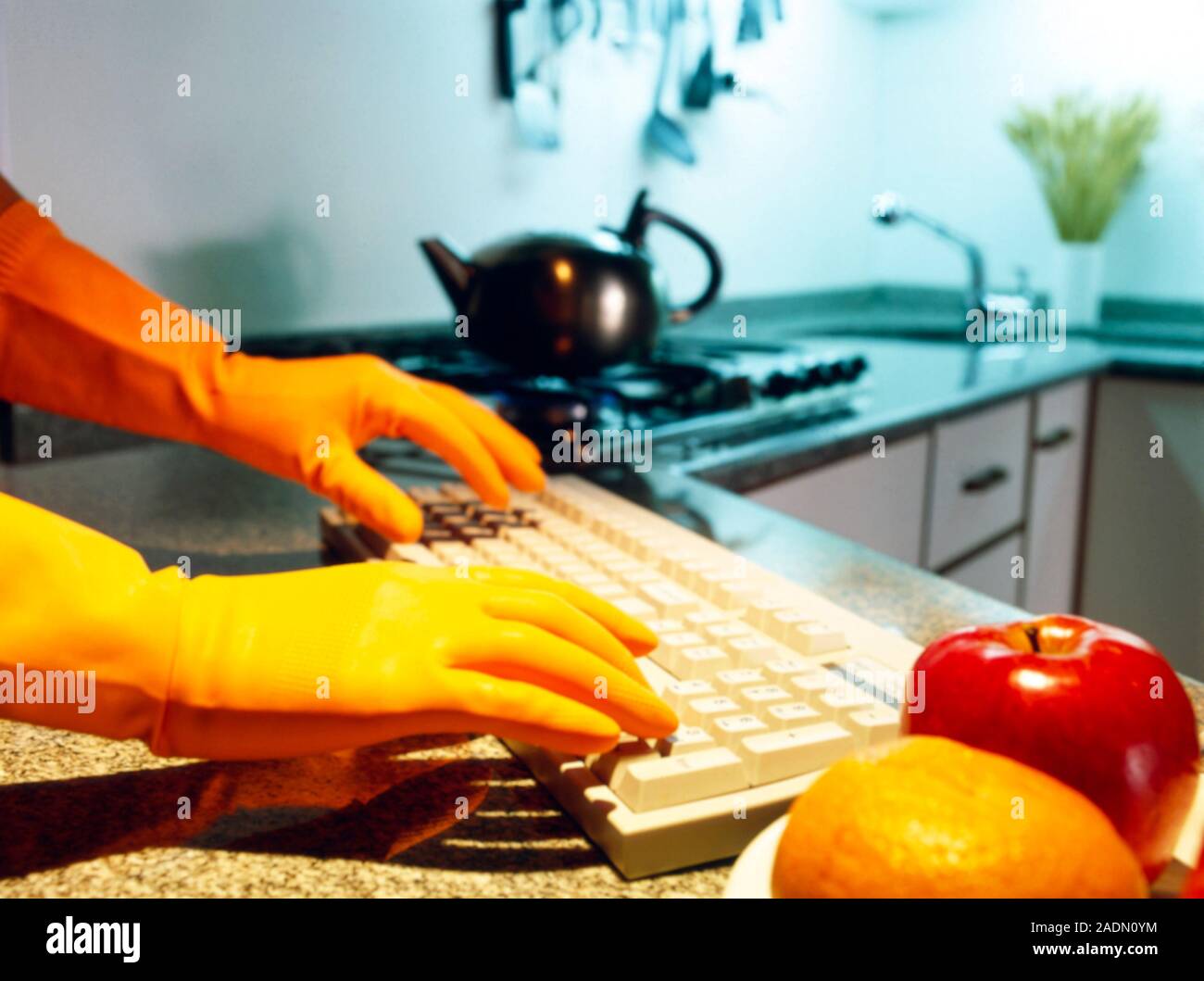 Keyboard in kitchen. View of hands wearing rubber gloves using a ...