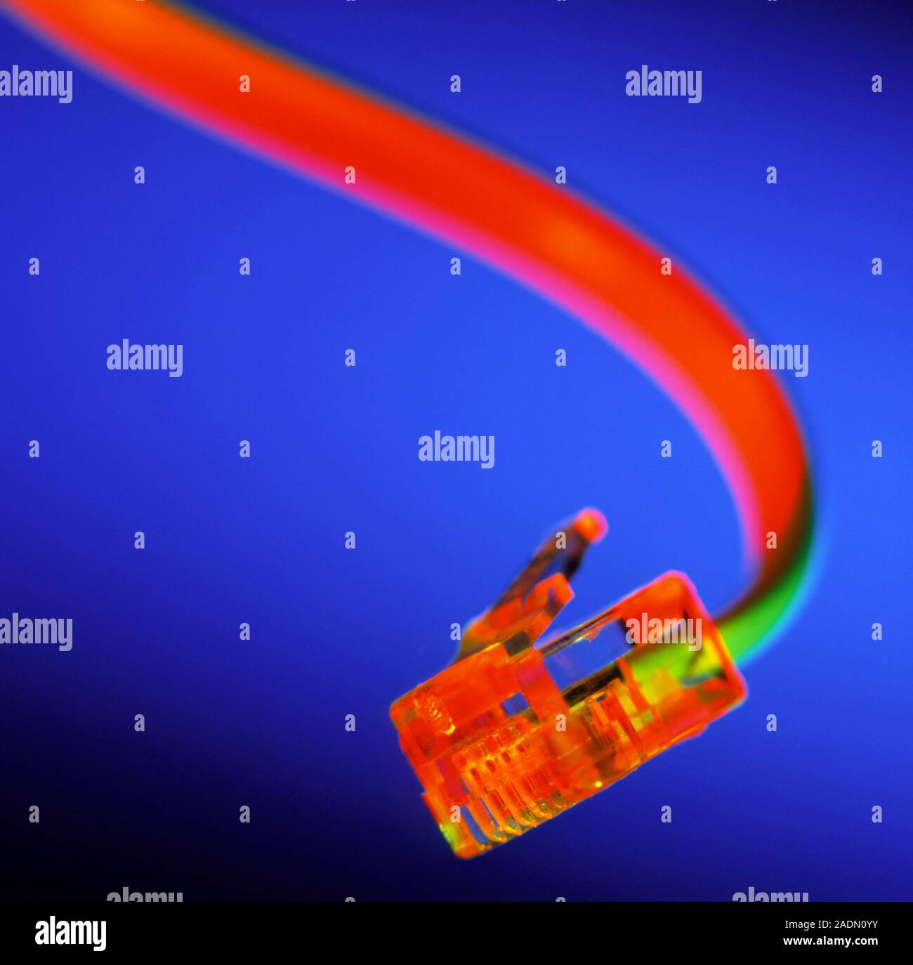 Ethernet computer connector. View of a computer ethernet connector used ...