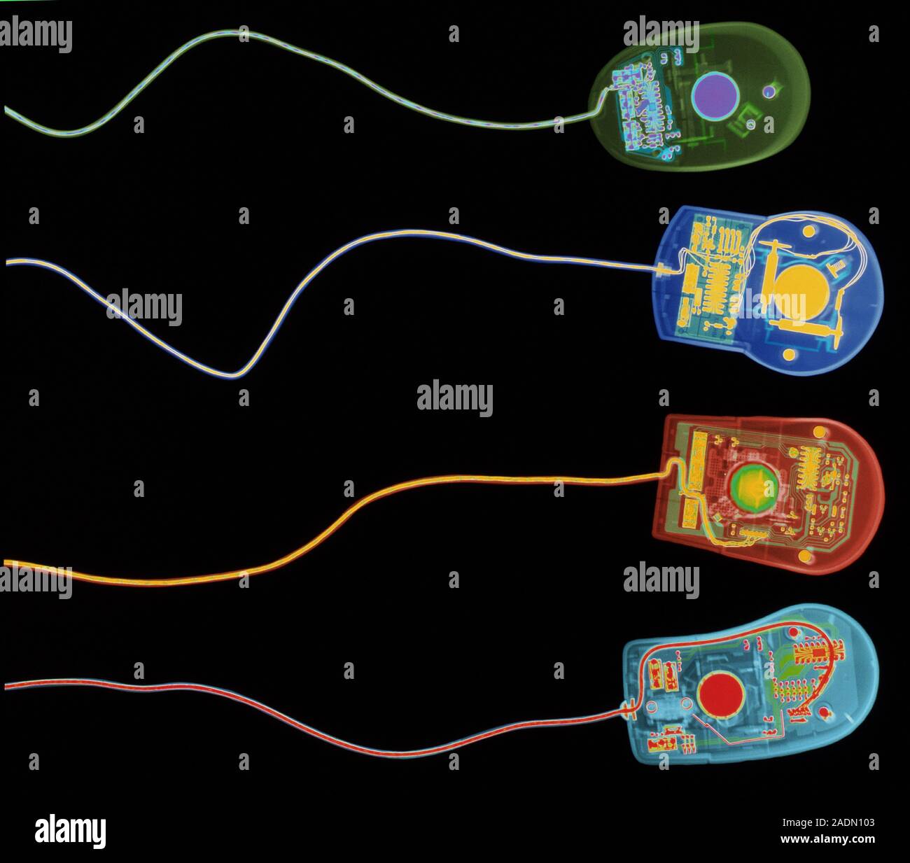 Computer mice. Coloured X-ray of four computer mice" and their ...