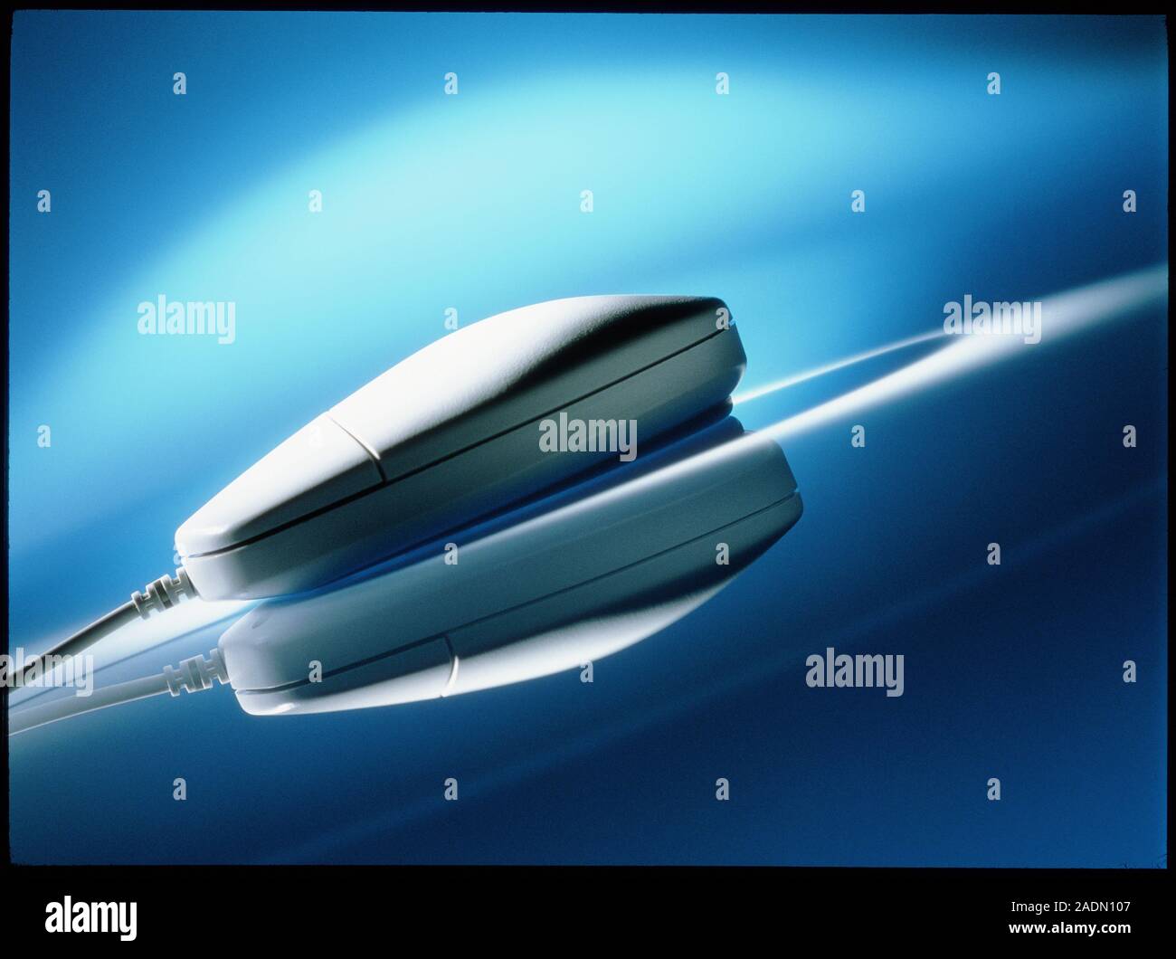 Computer mouse. View of a computer mouse. A computer mouse contains a ...