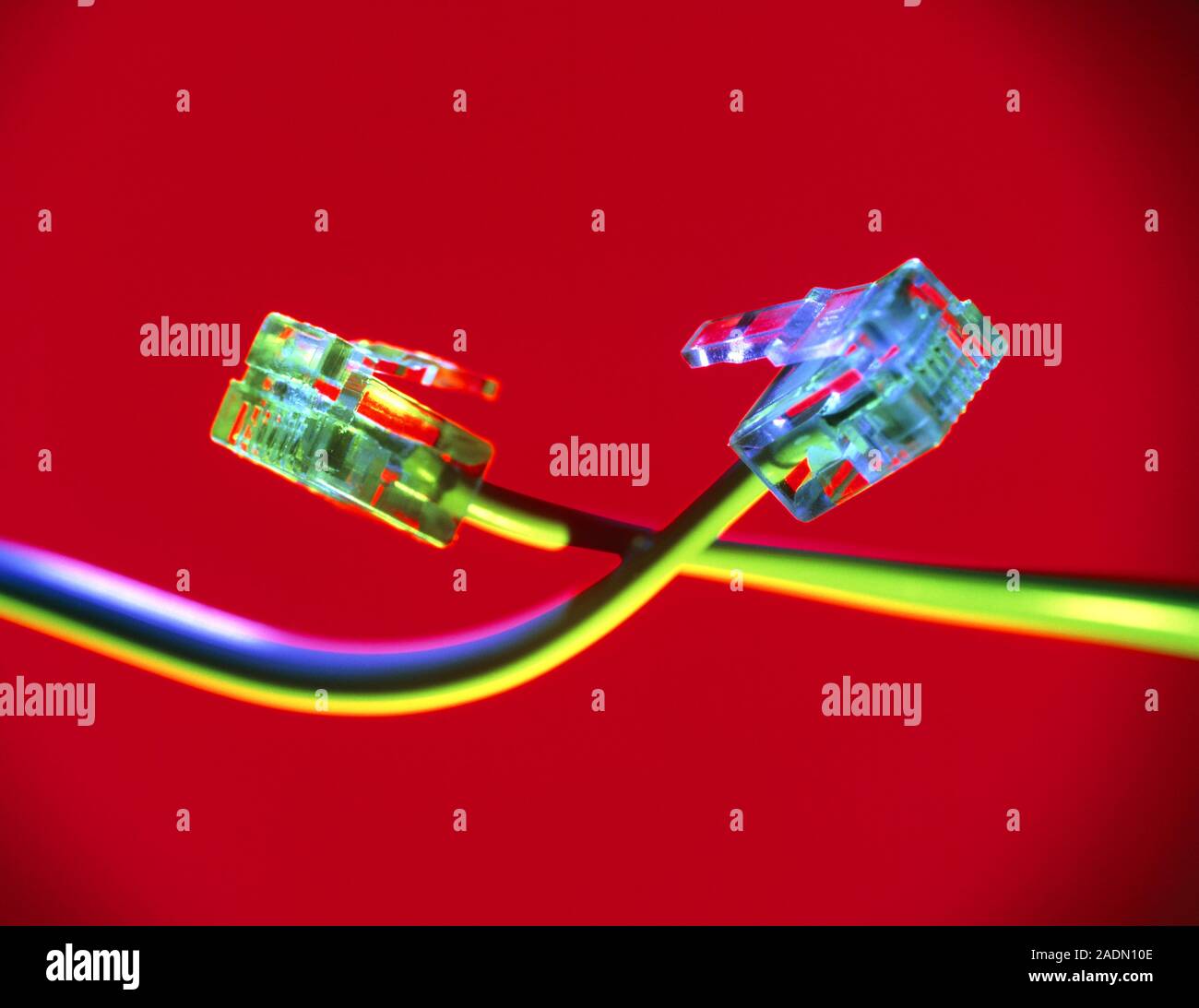 Internet plugs. Two twisted pair (TP) cables terminated with connector ...