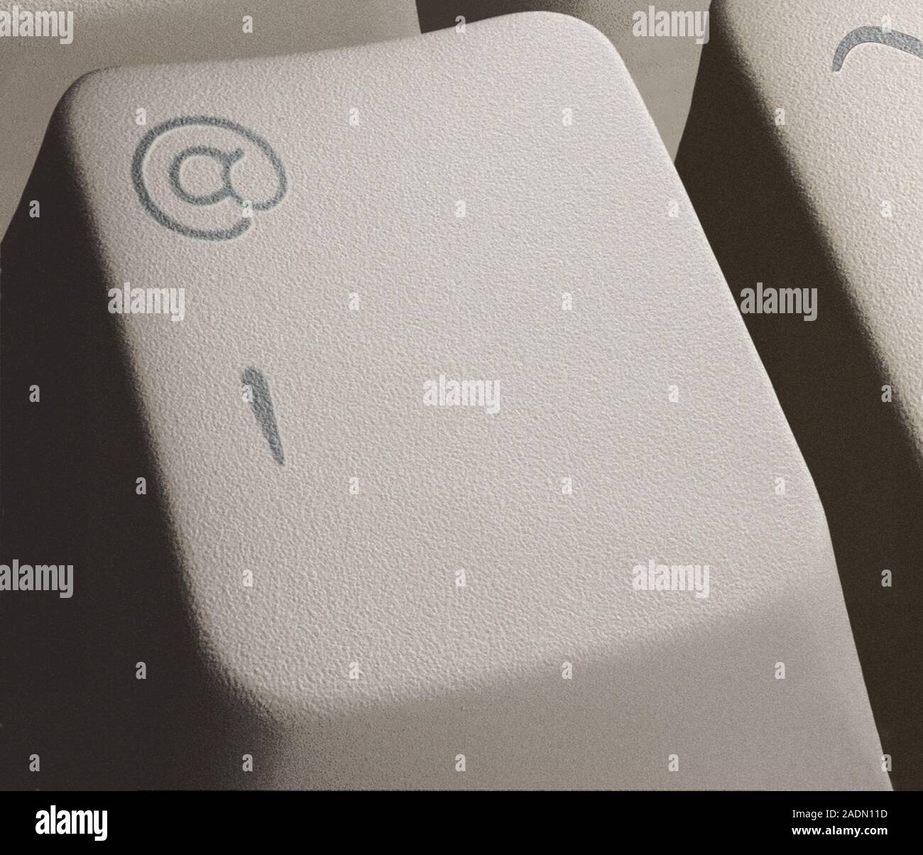 Computer keyboard key. Coloured scanning electron micrograph (SEM) of ...