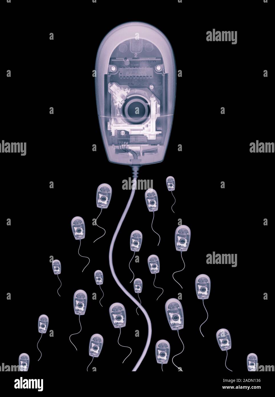 Computer mice. Computer artwork of an X-ray of computer mice. A track ...