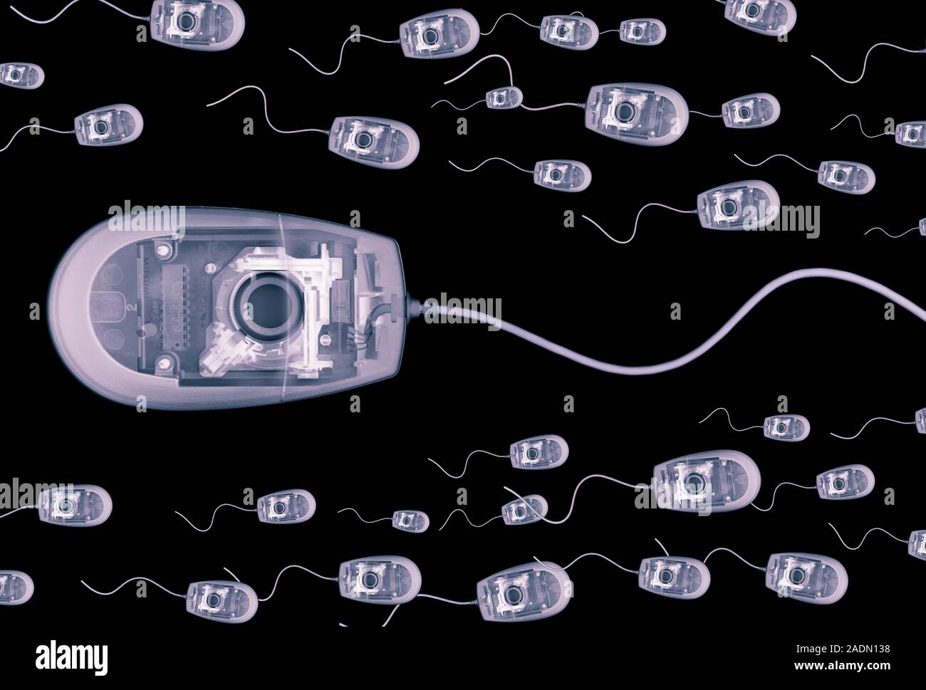 Computer mice. Computer artwork of an X-ray of computer mice. A track ...