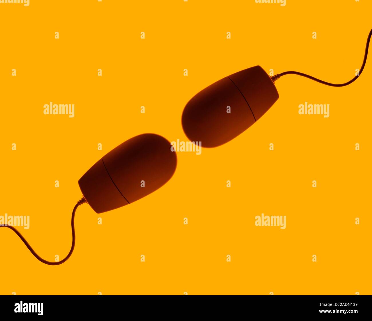 Computer mice, computer artwork. This image could represent ...