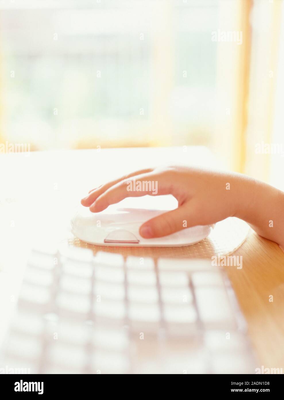 MODEL RELEASED. Computer use. Three year old girl's hand on a computer ...