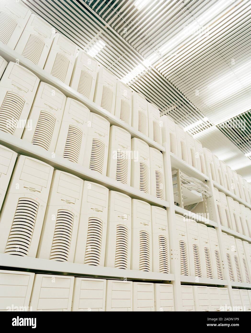 Grid supercomputer. Bank of computers forming part of a PC farm" with ...