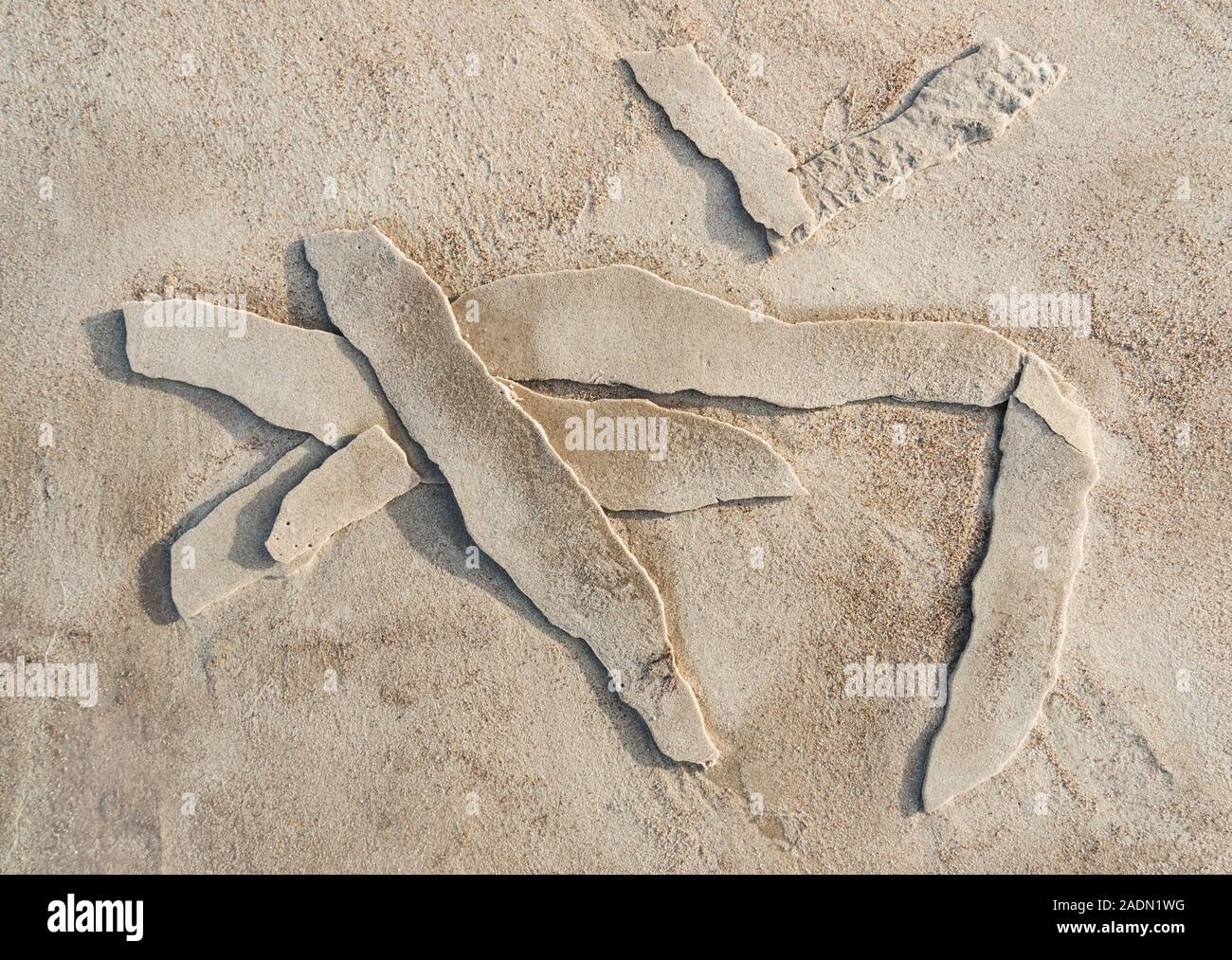 Beach background with broken frosted piece of wet sand Stock Photo - Alamy