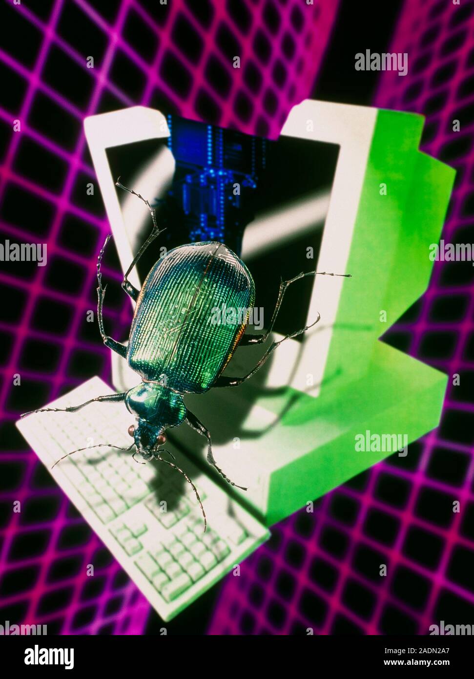 Millennium bug. Computer artwork representing the millennium bug" as a ...