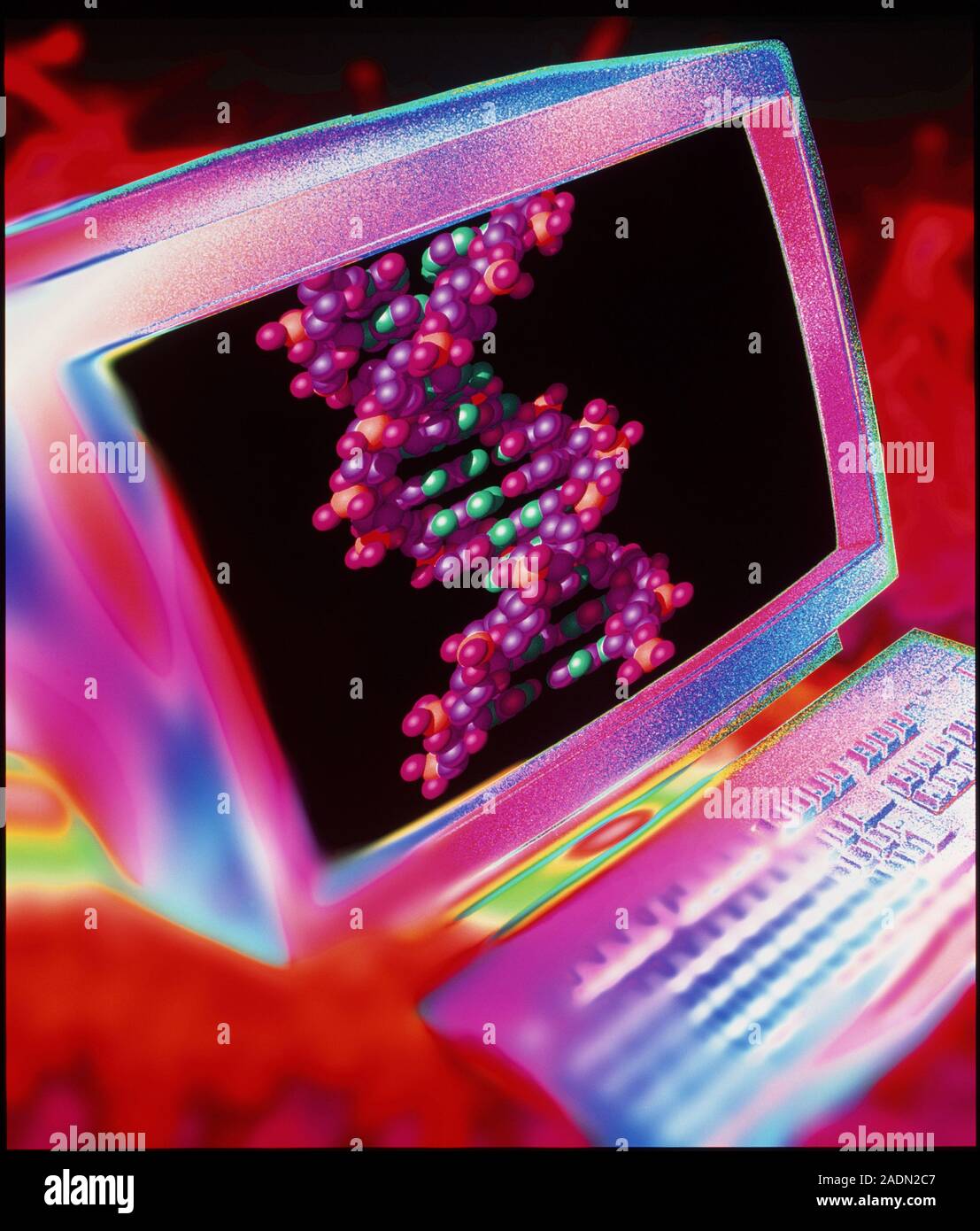 DNA on computer screen. Computer artwork representing computer-aided ...