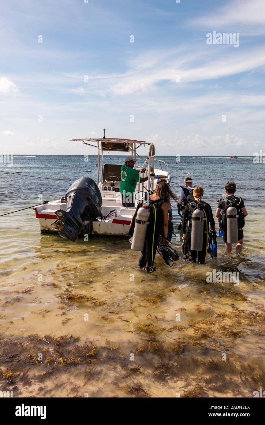 Scuba diving expedition for tourists hi-res stock photography and ...