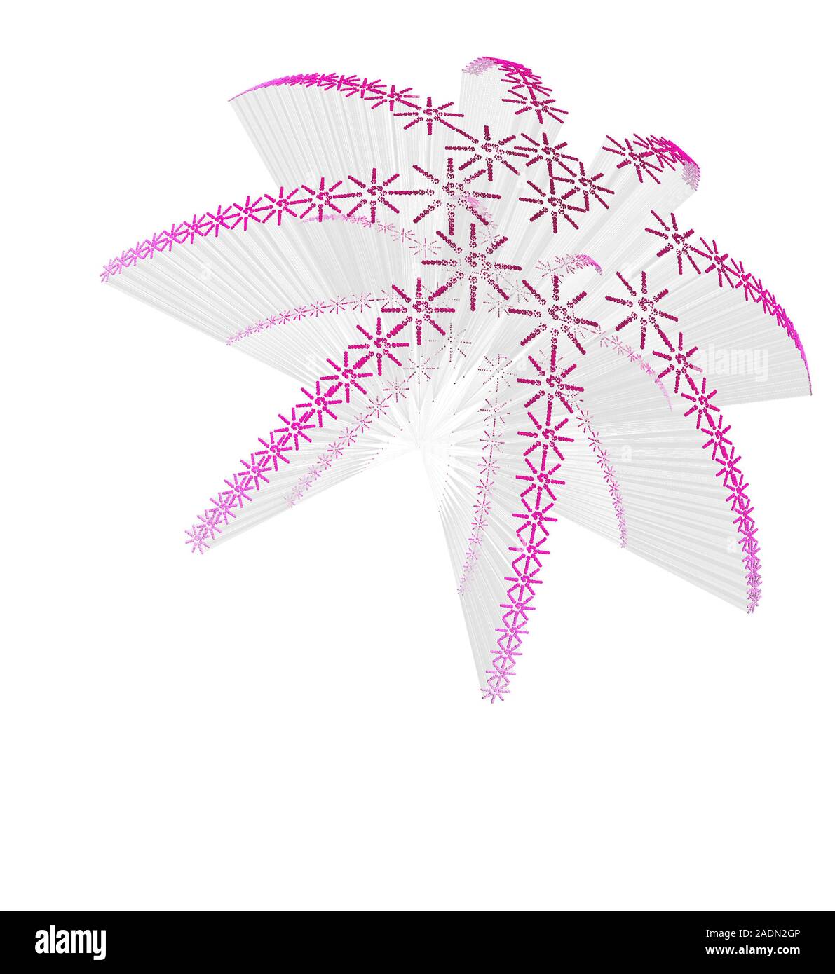 Phyllotactic model in 3D. This computer artwork was produced using ...