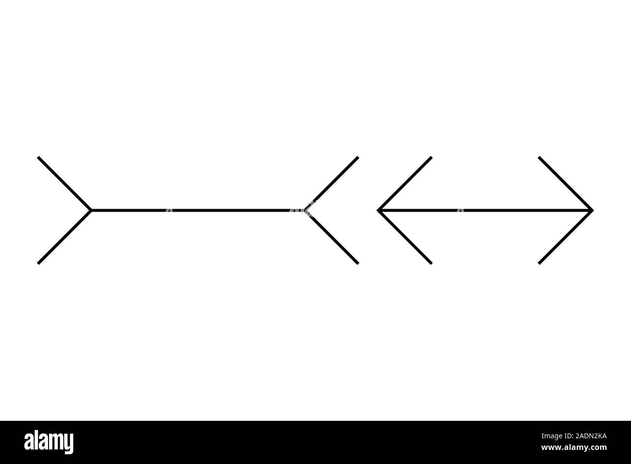 Muller-Lyer illusion. The two lines with arrows at each end appear to ...