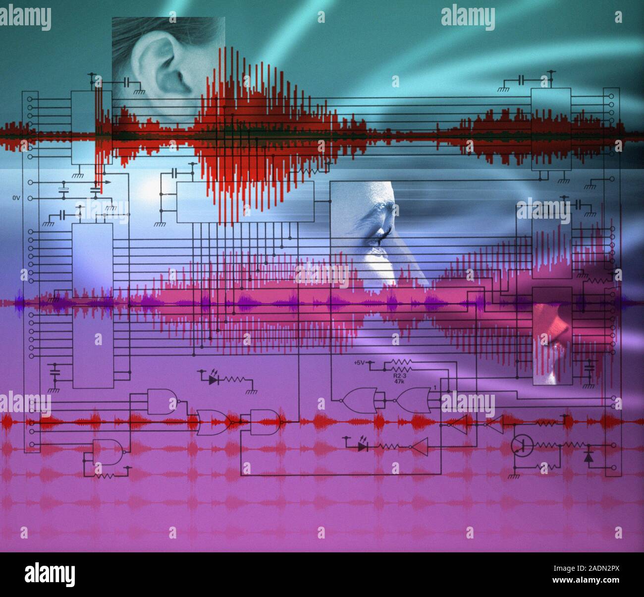 Voice recognition. Conceptual computer artwork of voice patterns (jagged waveforms, red), a ...
