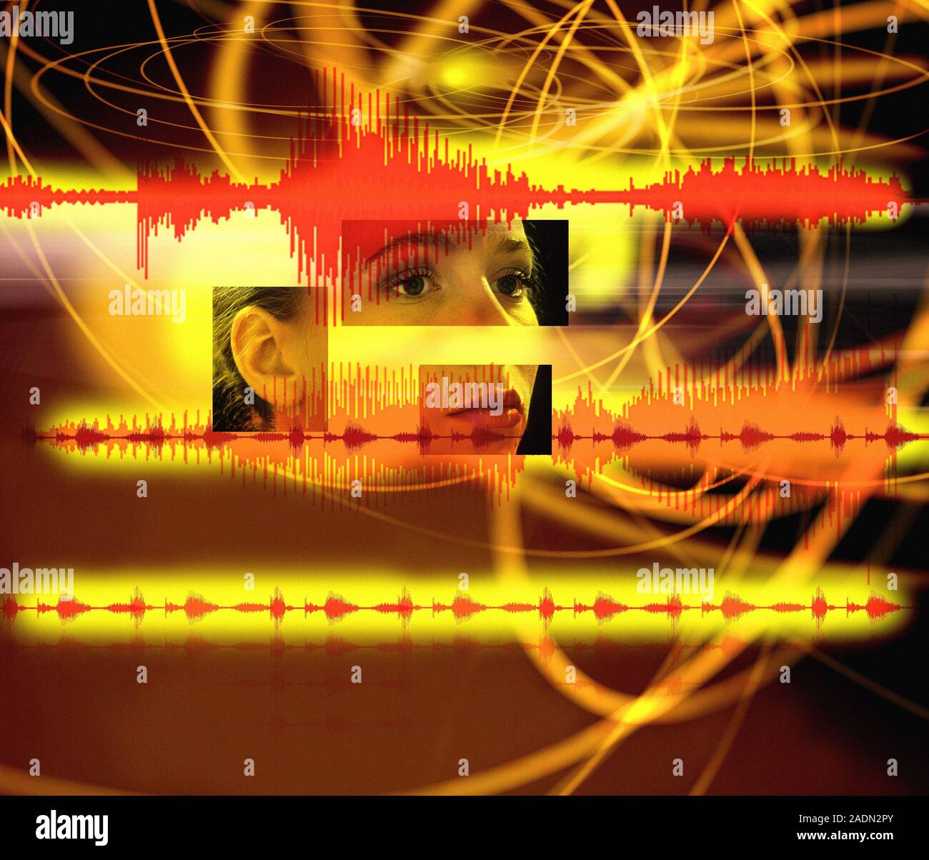 Voice recognition. Conceptual computer artwork of voice patterns (jagged waveforms, red) and an ...
