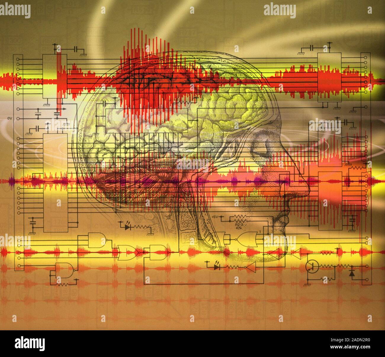 Voice recognition. Conceptual computer artwork of voice patterns (jagged waveforms, red), a ...